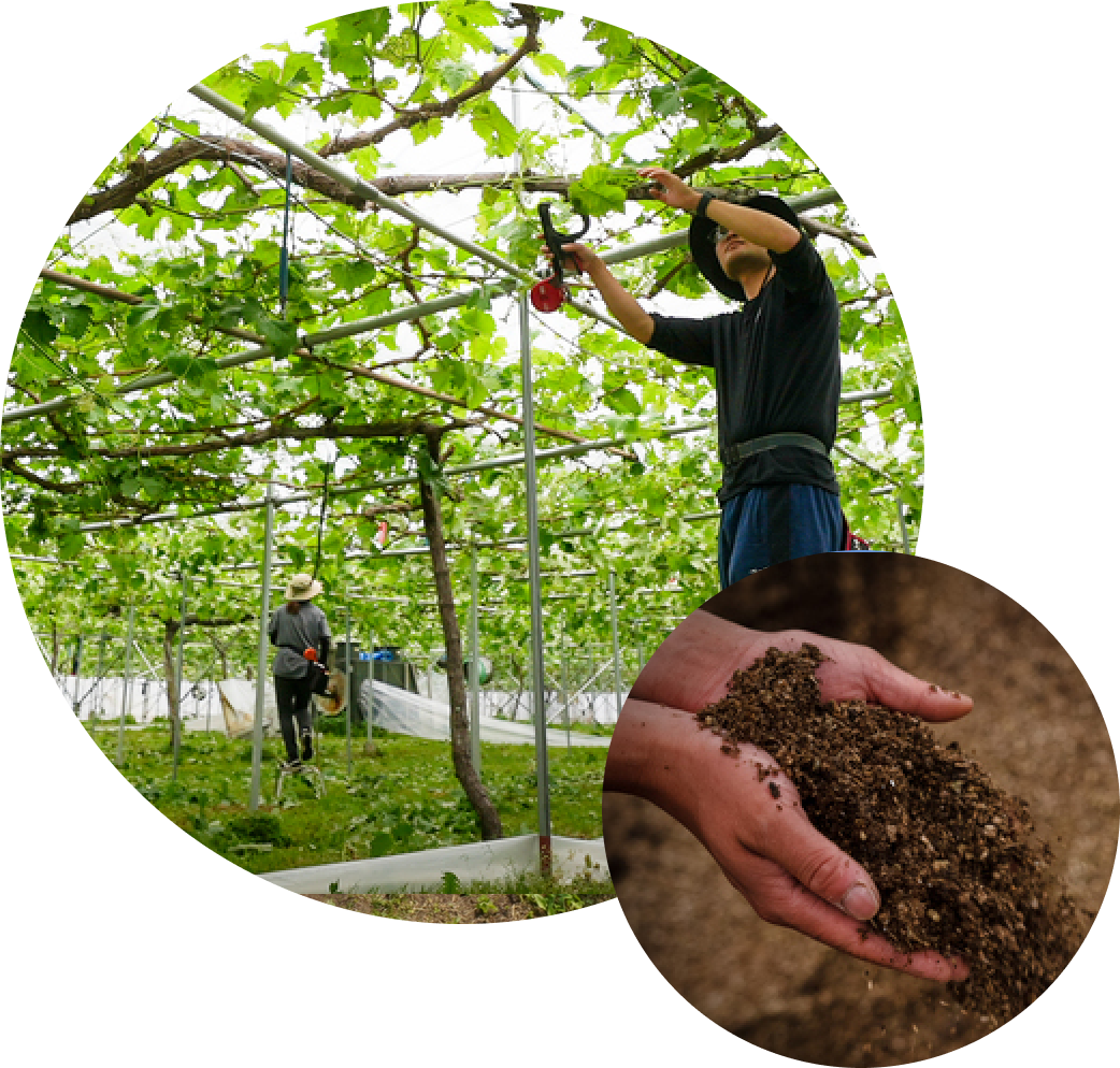 会社紹介 | AgriBasE｜長野県中野市のぶどう農園｜アグリベース公式サイト